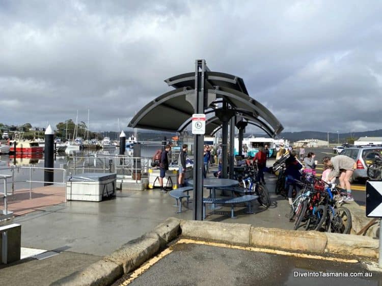 Maria Island Ferry: Everything You Need To Know