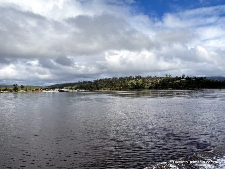 Maria Island Ferry: Everything You Need To Know