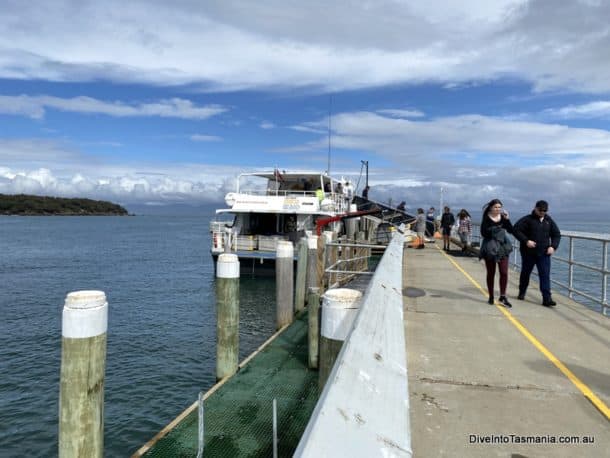 Maria Island Ferry: Everything You Need To Know