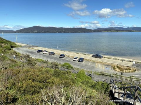 Bruny Island Penguins🐧: Everything You Need To Know