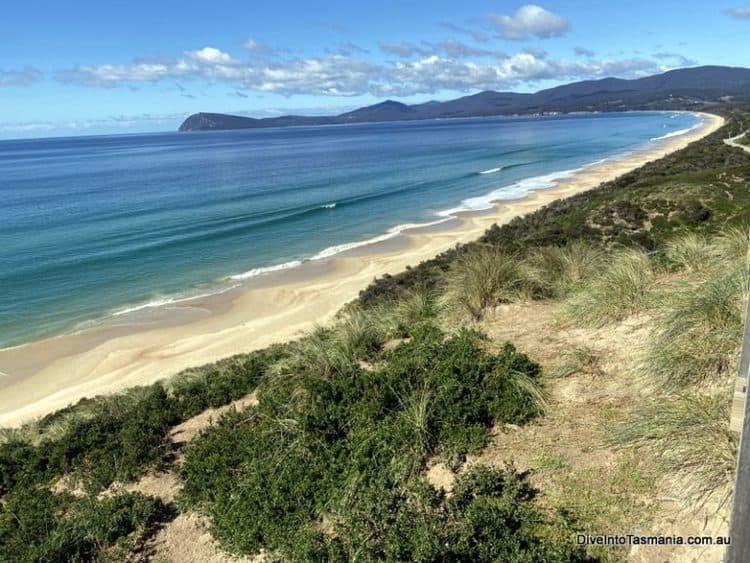 Bruny Island Camping: Everything You Need To Know
