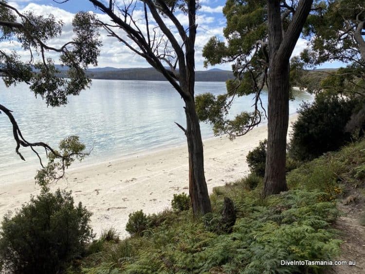 Bruny Island Camping: Everything You Need To Know