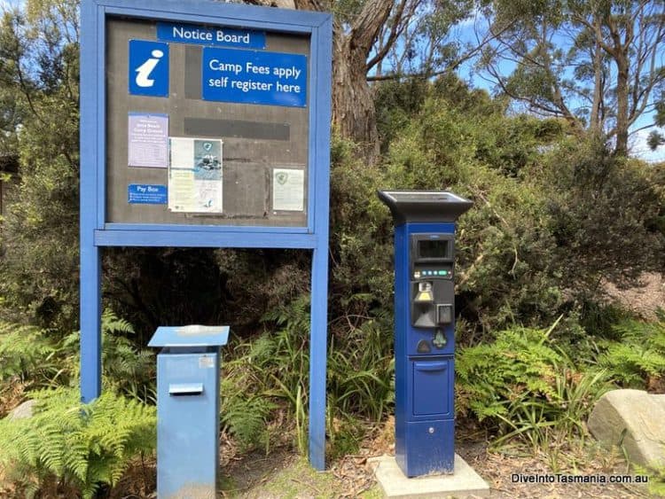 Bruny Island Camping: Everything You Need To Know