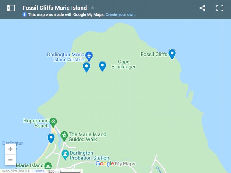 Fossil Cliffs Maria Island: Everything You Need To Know