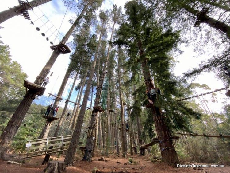 Things to Do in Tamar Valley, Tasmania