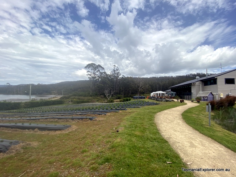16 Top Things To Do In Port Arthur, Tasmania - Tasmania Explorer