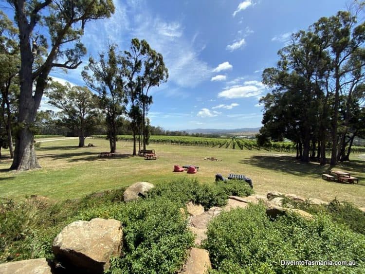 Best Tamar Valley Wineries: Everything You Need To Know [2023 ...