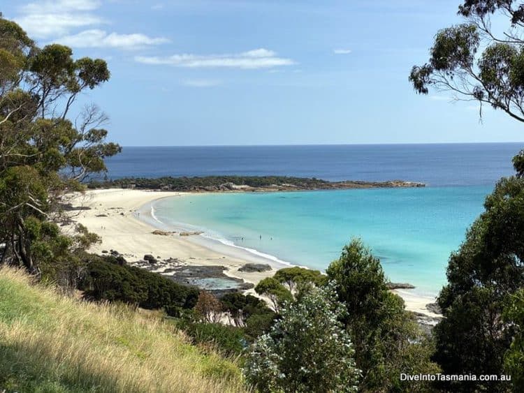 Wynyard Tasmania: Attractions, Accommodation And Relaxed Seaside Fun ...