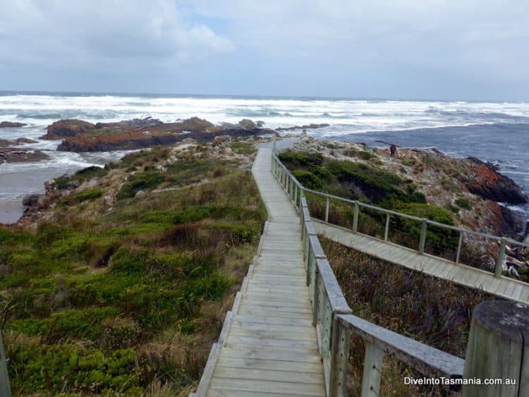 Smithton, Tasmania: Things To Do For Your Ultimate Road Trip - Tasmania ...